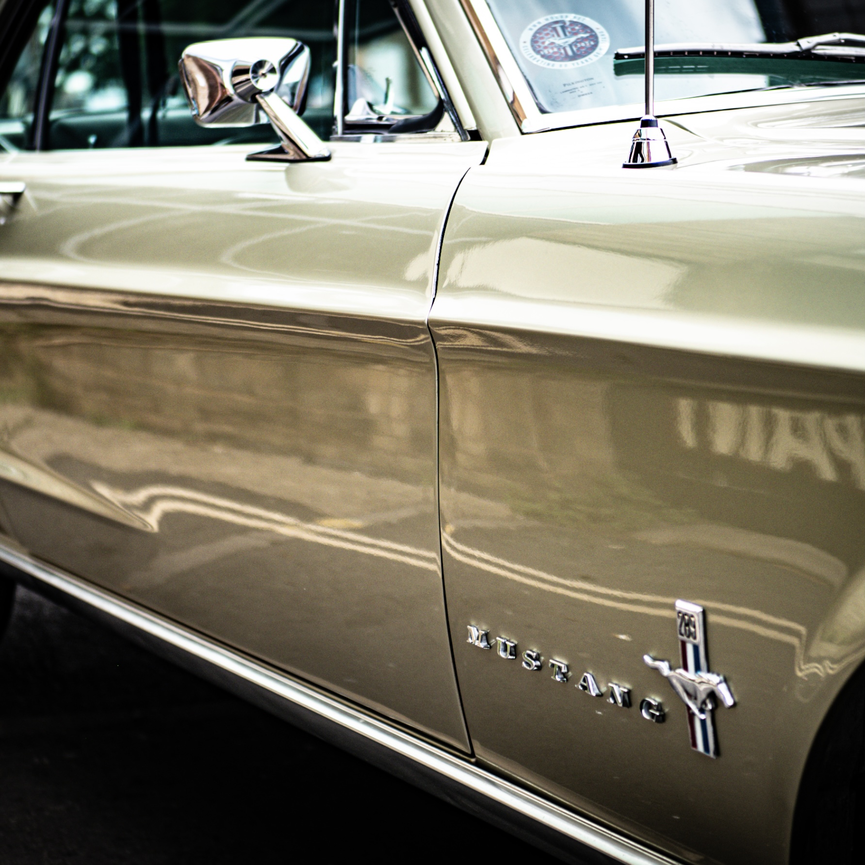 Mustang – Grant N Stone